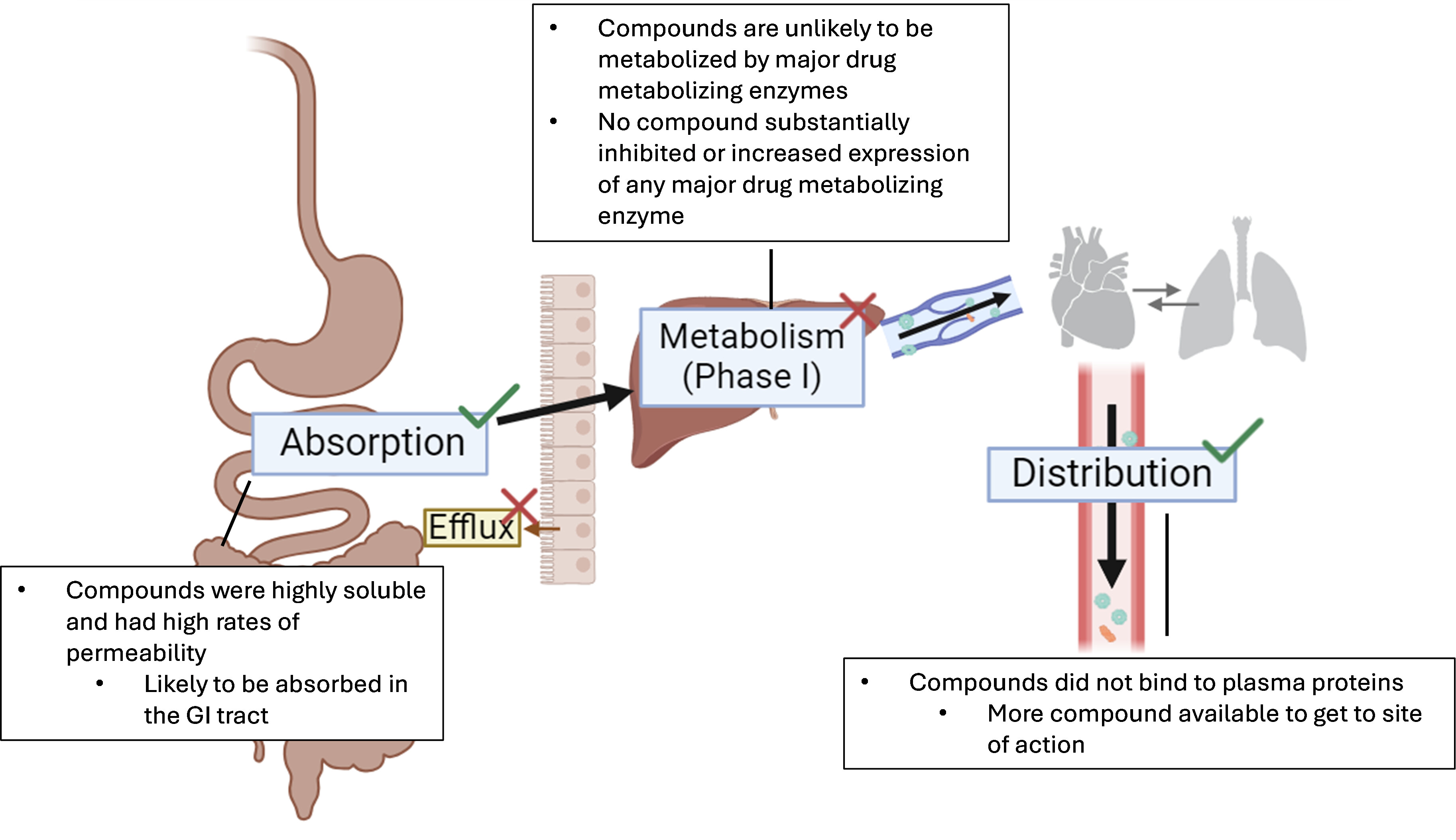 Identification and pharmacokinetic evaluation of potent HBV RNase H ...